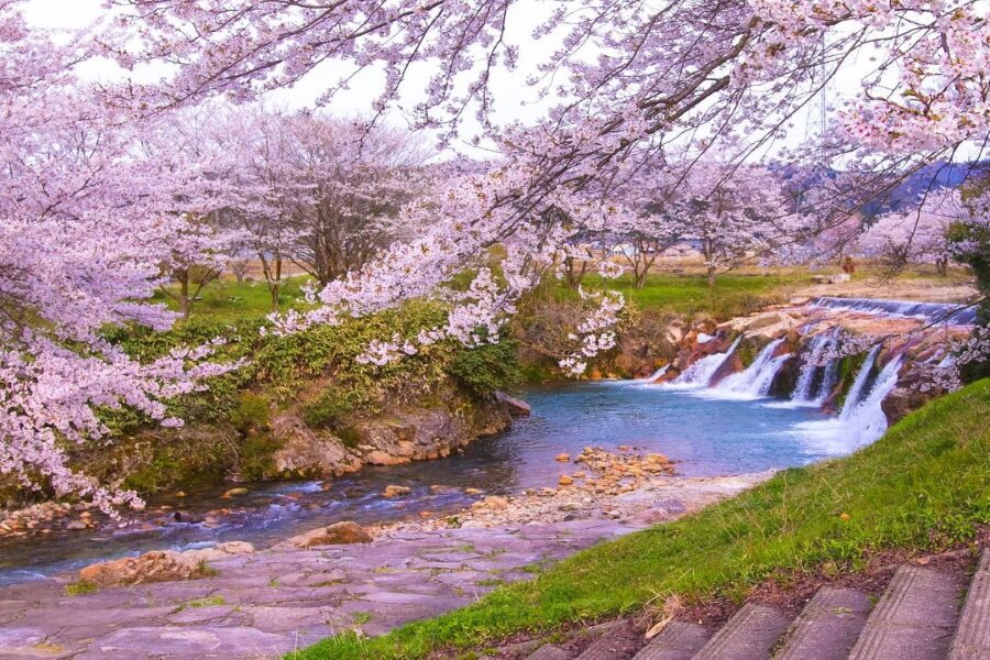 Kaga Hakusan Area - Ishikawa Prefecture - Japanko Official