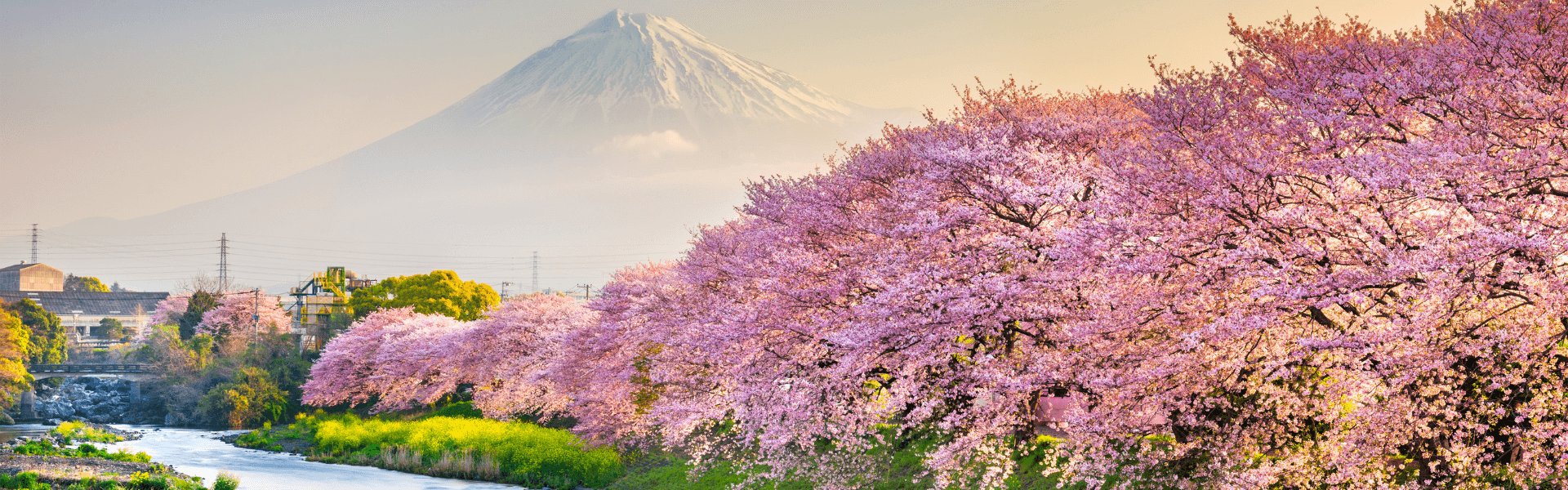 Spring - Japanko Official